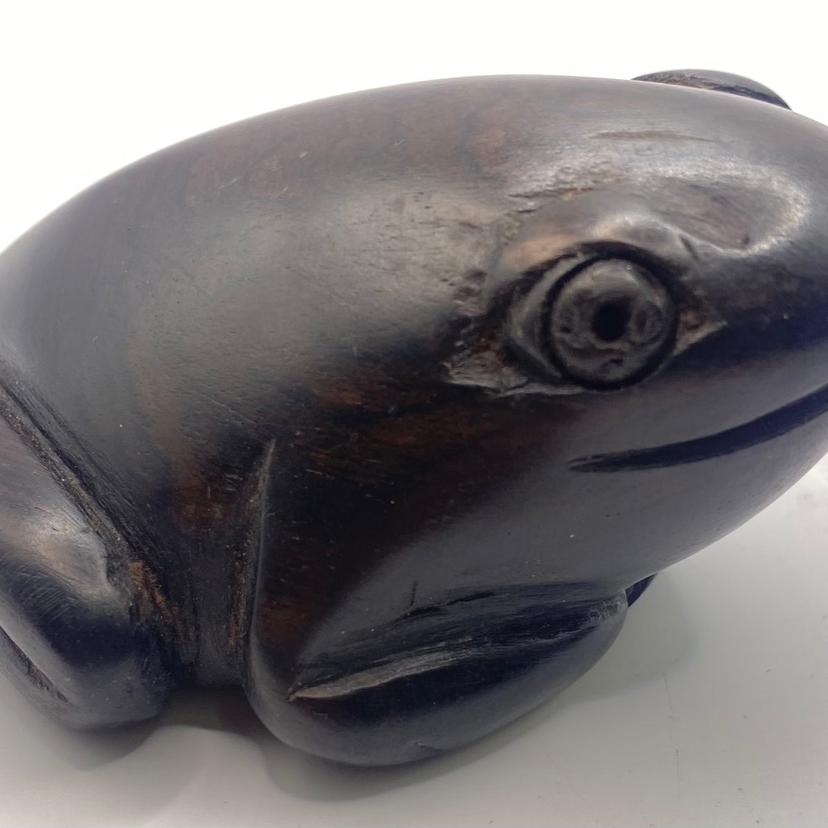 Leg Tucked Ebony Frog – Africas Finest